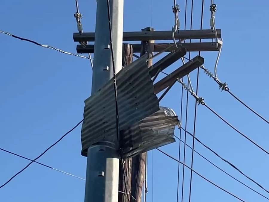 When a snake enters a Texas substation, 16,000 residents lose ...