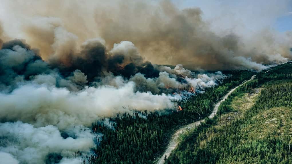 Alberta Municipalities Allocates $175 Million for Wildfire Recovery to ...