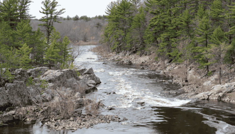 The Top 3 Most Dangerous Rivers in the USA – PelhamPlus