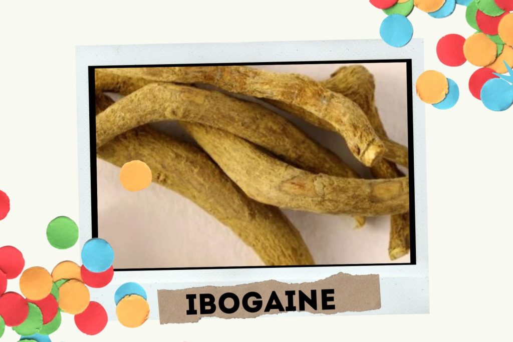 Ibogaine Emerges as a Game-Changer in PTSD Treatment: Promising Results ...