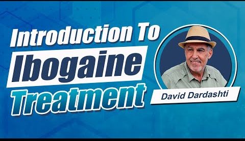 Ibogaine By David Dardashti: How Ibogaine Hydrochloride Impacts Opiate ...